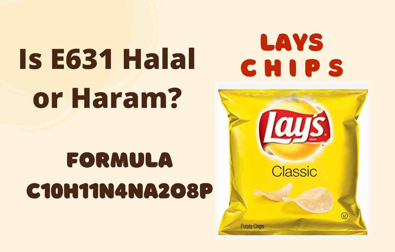 What Is E631 Is E631 Halal Or Haram In Islam Ilmibook What Is E631 Is E631 Halal Or Haram In Islam Ilmibook
